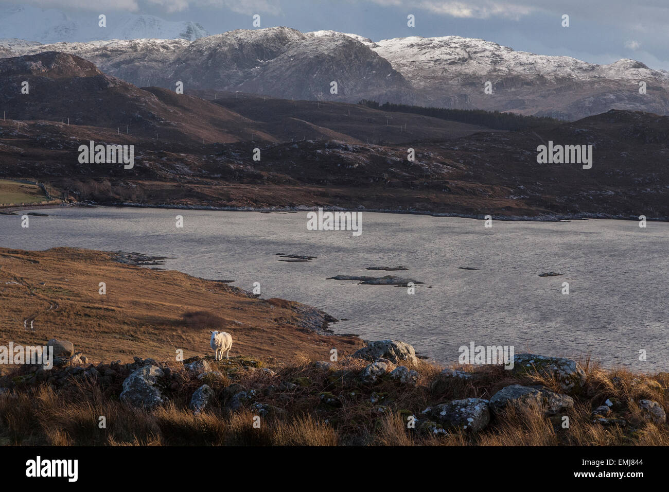 Loch Ewe, Wester Ross, Scotland UK Stock Photo - Alamy