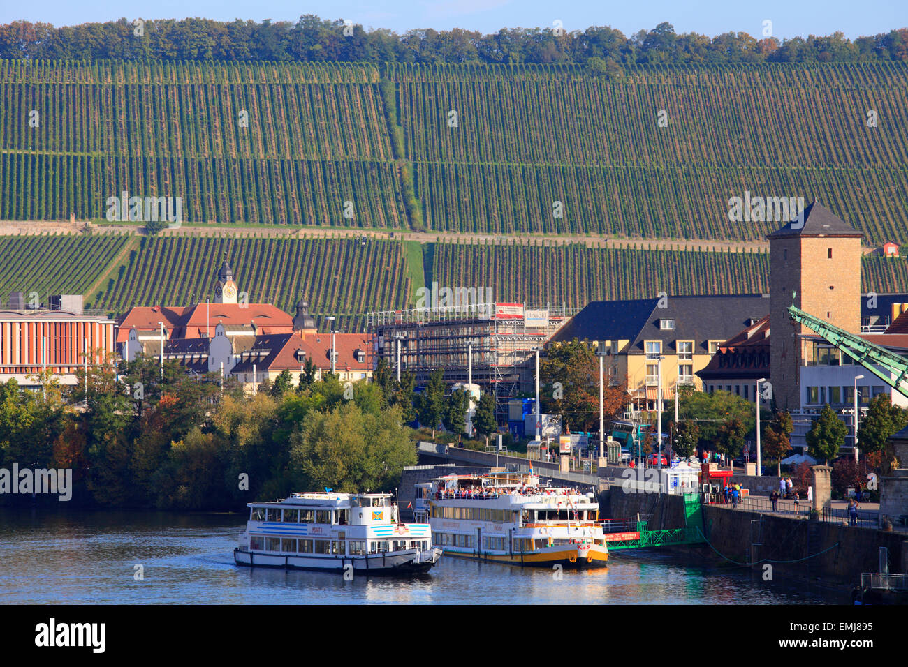 Main river wurzburg hi-res stock photography and images - Alamy