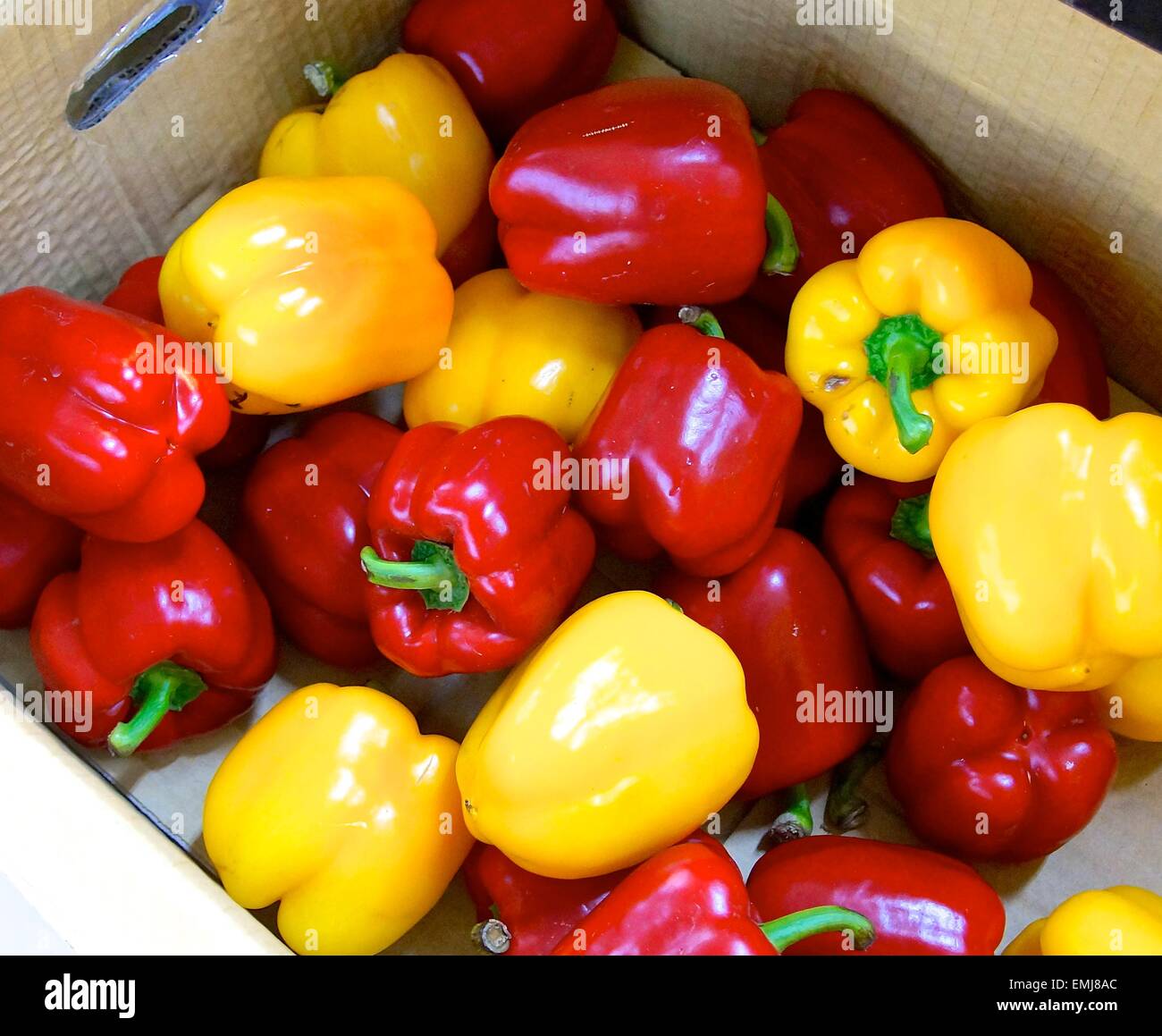 Grow veg box hi-res stock photography and images - Alamy