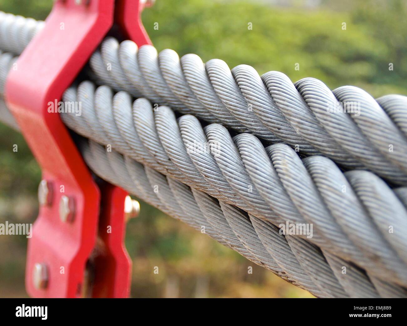 The closeup of bundle cables on suspension bridge Stock Photo - Alamy