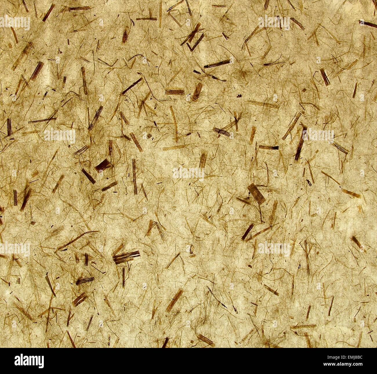 The close view of straw paper Stock Photo - Alamy