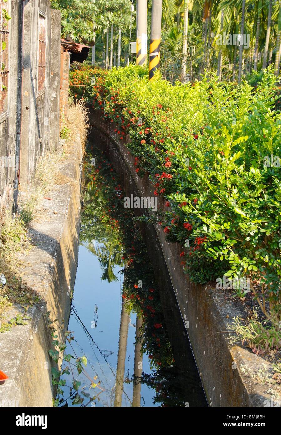 Country road in taiwan hi-res stock photography and images - Alamy