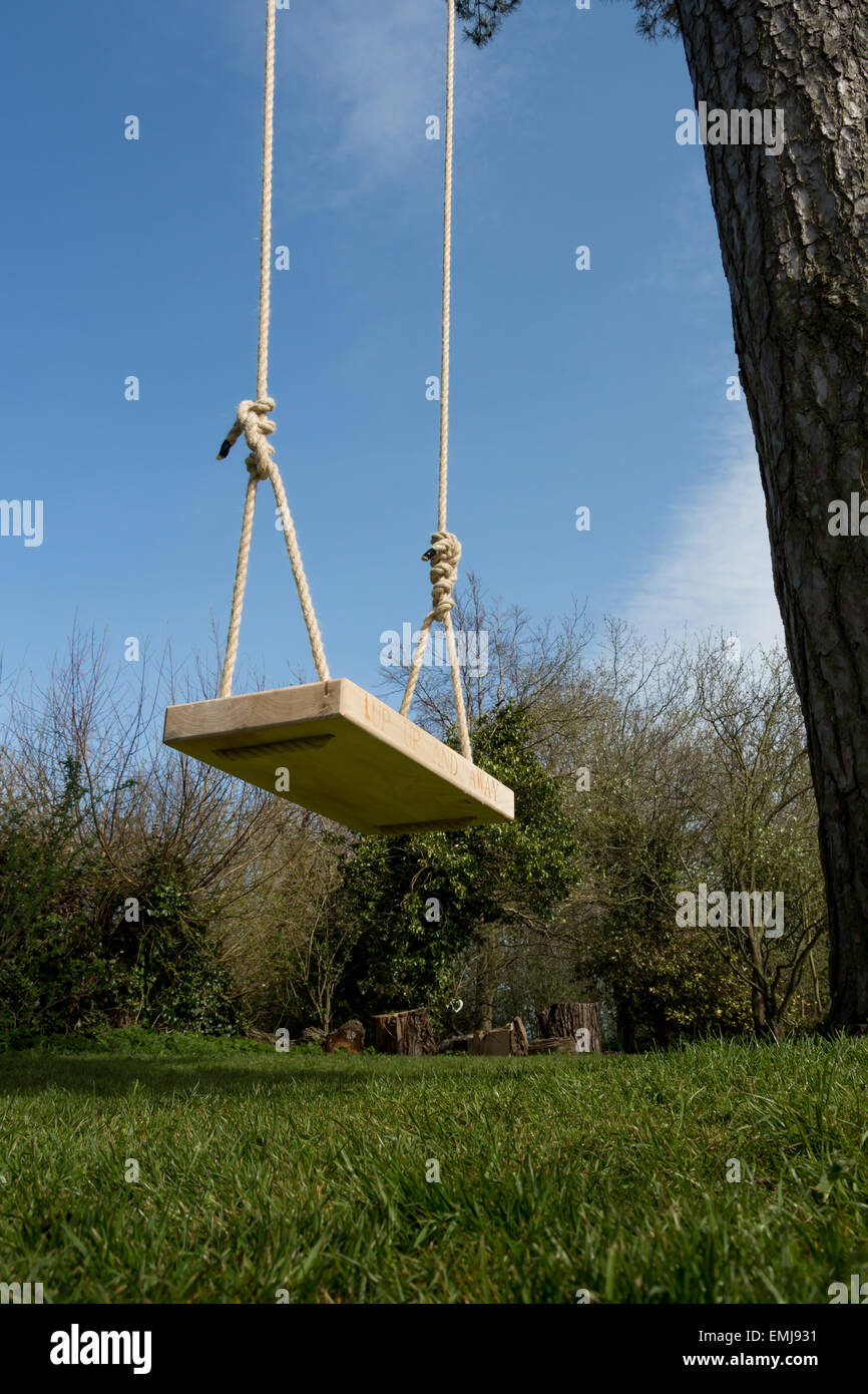 Tree swing in the garden with a tall tree, blue sky and green grass ...
