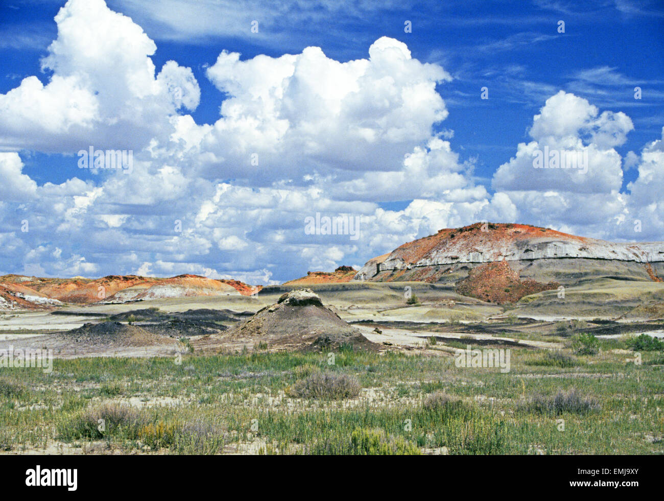 Fluffy clouds and a blue sky set off the Bisti Badlands or Bisti/De-Na ...