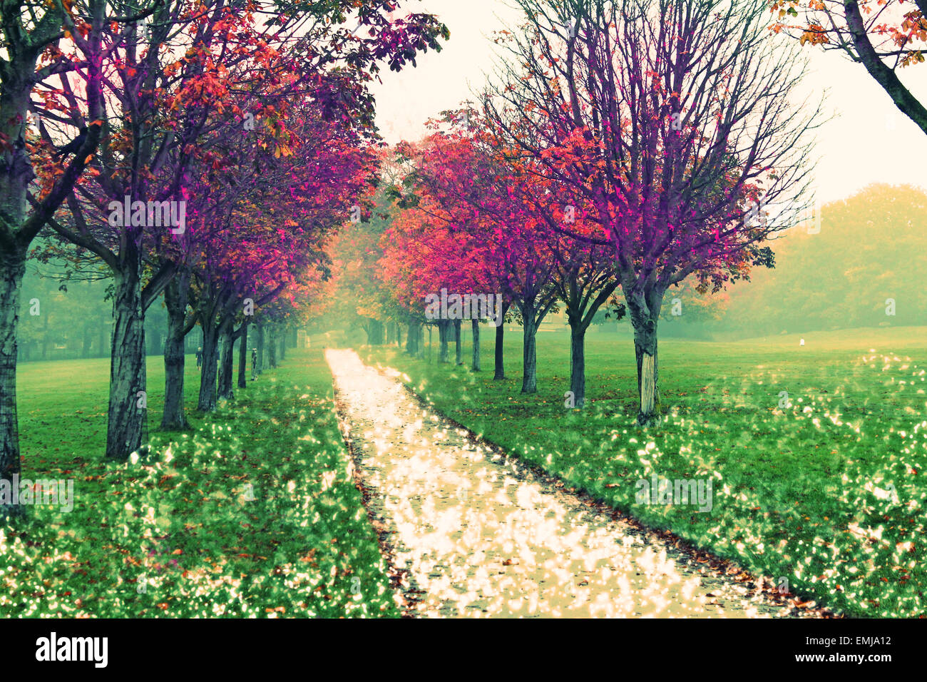 fantasy, fairytale, trees, unrealistic, fiction, fictional, leaves ...