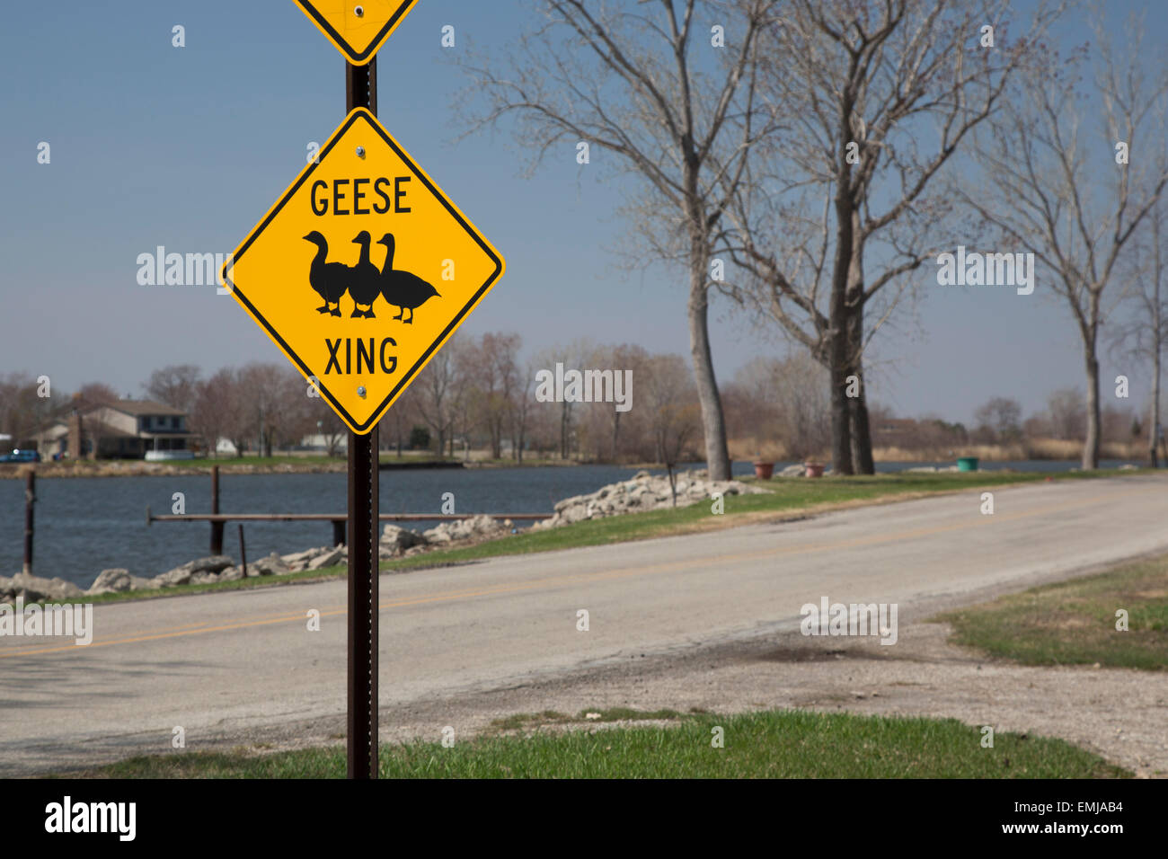 Goose road sign hi-res stock photography and images - Alamy