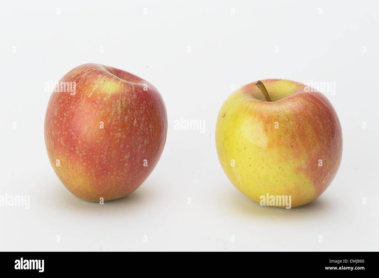 Two apples on a white background Stock Photo - Alamy