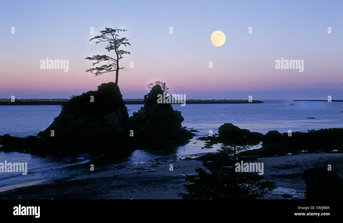 Moonset over pacific ocean hi-res stock photography and images - Alamy