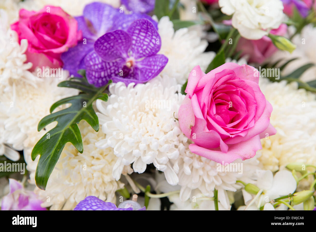 beautiful flowers decoration Stock Photo - Alamy