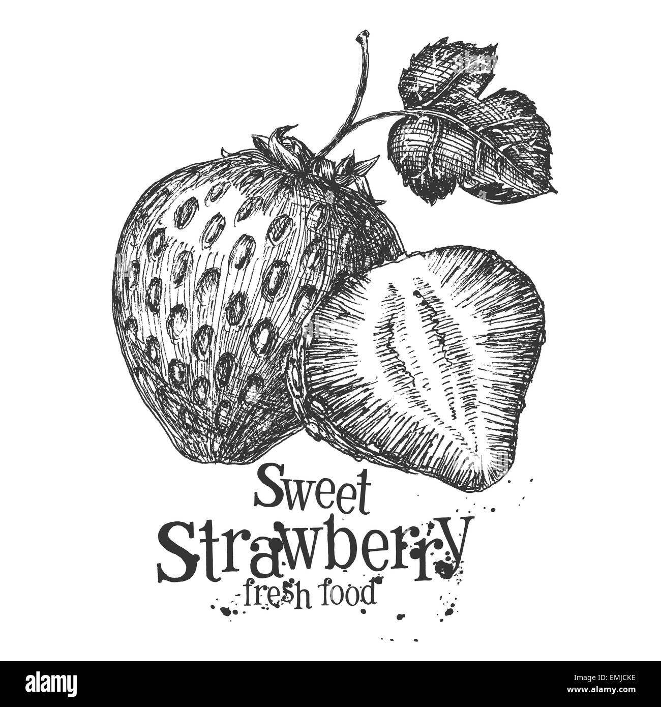 Strawberry Black and White Stock Photos & Images - Alamy