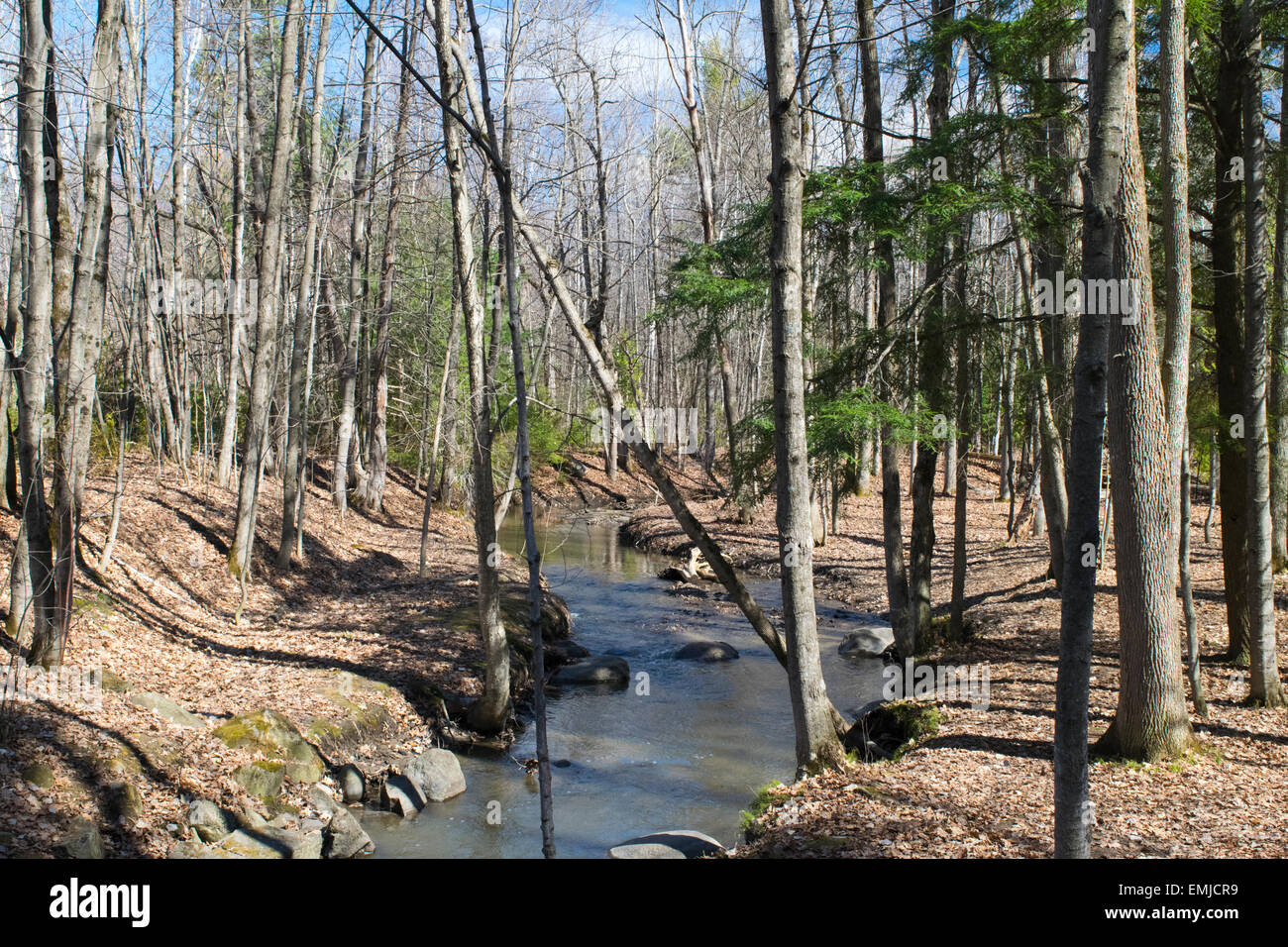 A stream in spring, Hudson, Quebec Stock Photo - Alamy