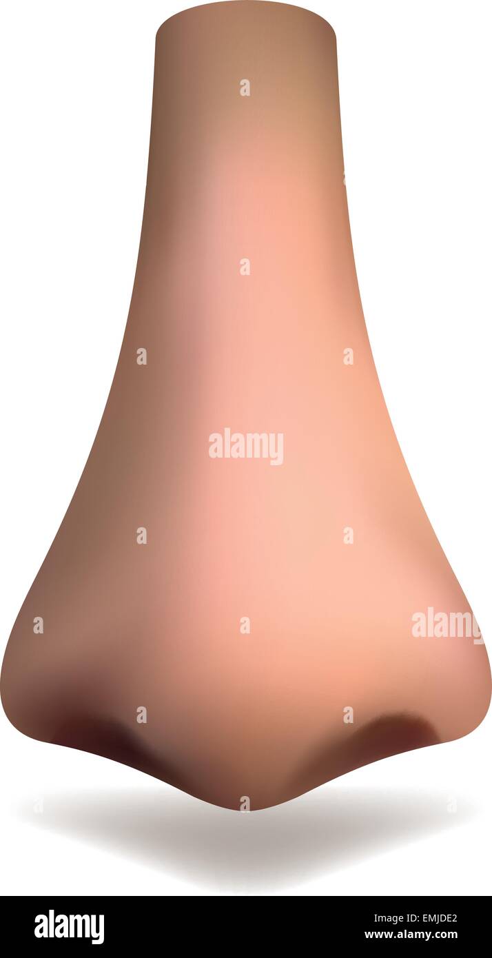 Realistic vector nose isolated on white background for medical ...