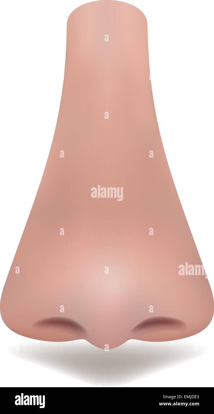 Realistic vector nose isolated on white background for medical ...
