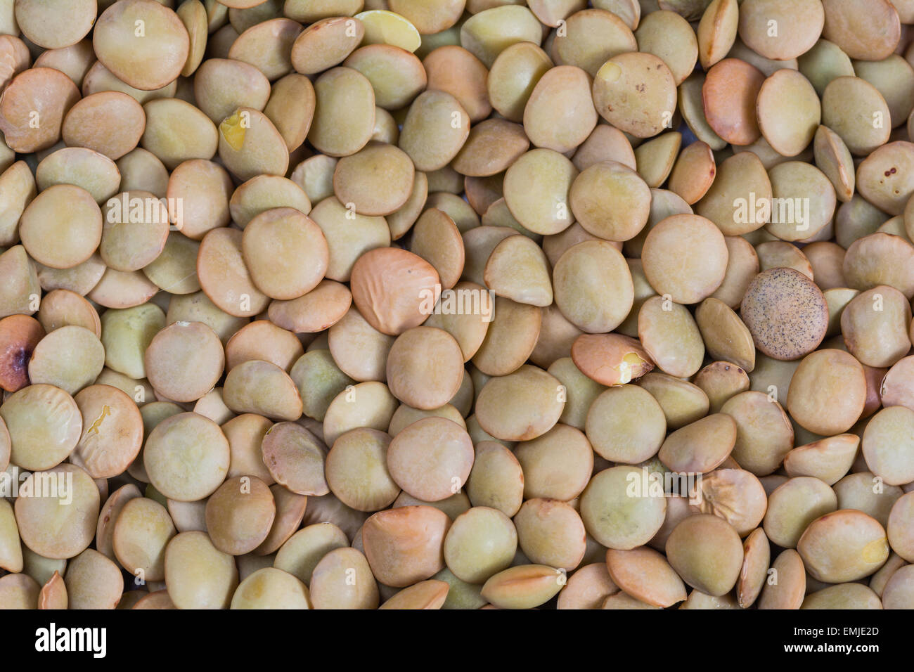 Brown yellow uncooked peas laid out flat for abstract background image ...