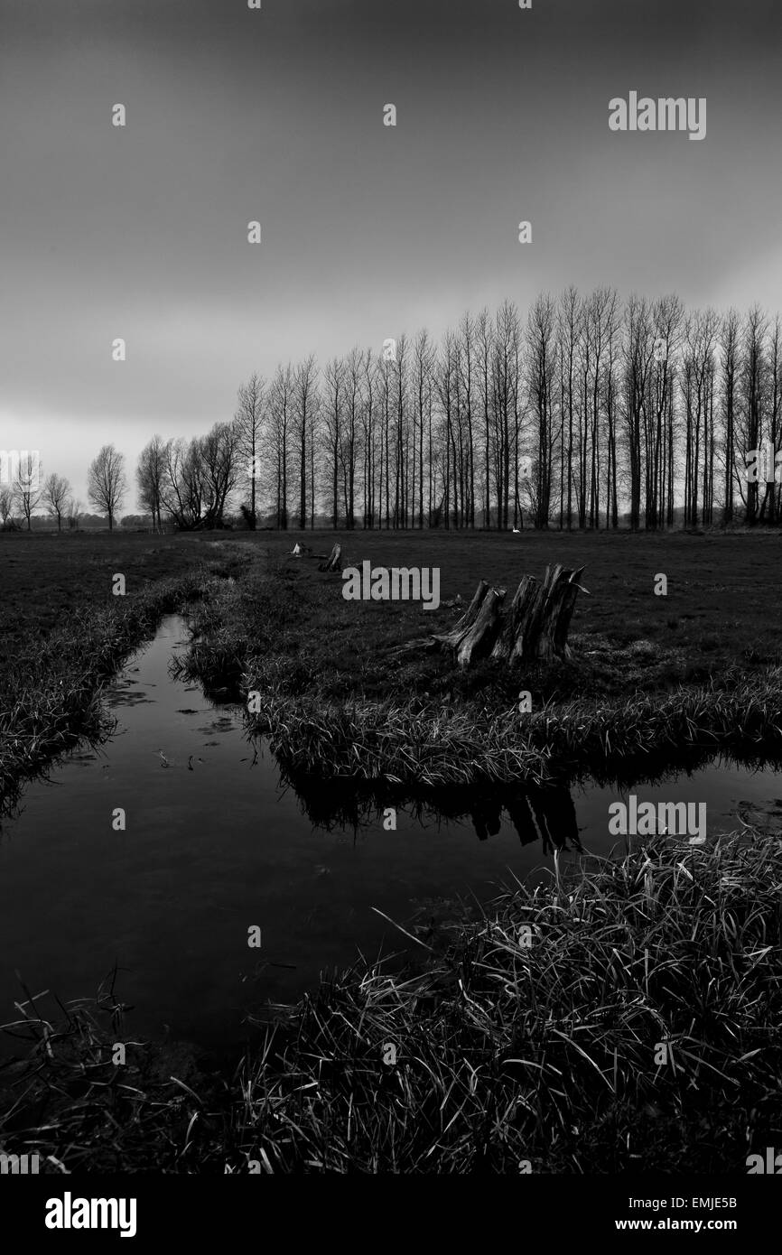 Suffolk countryside bleak hi-res stock photography and images - Alamy