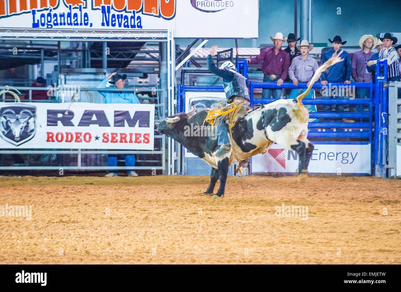Cowboy Participating in a Bull riding Competition at the Clark County ...