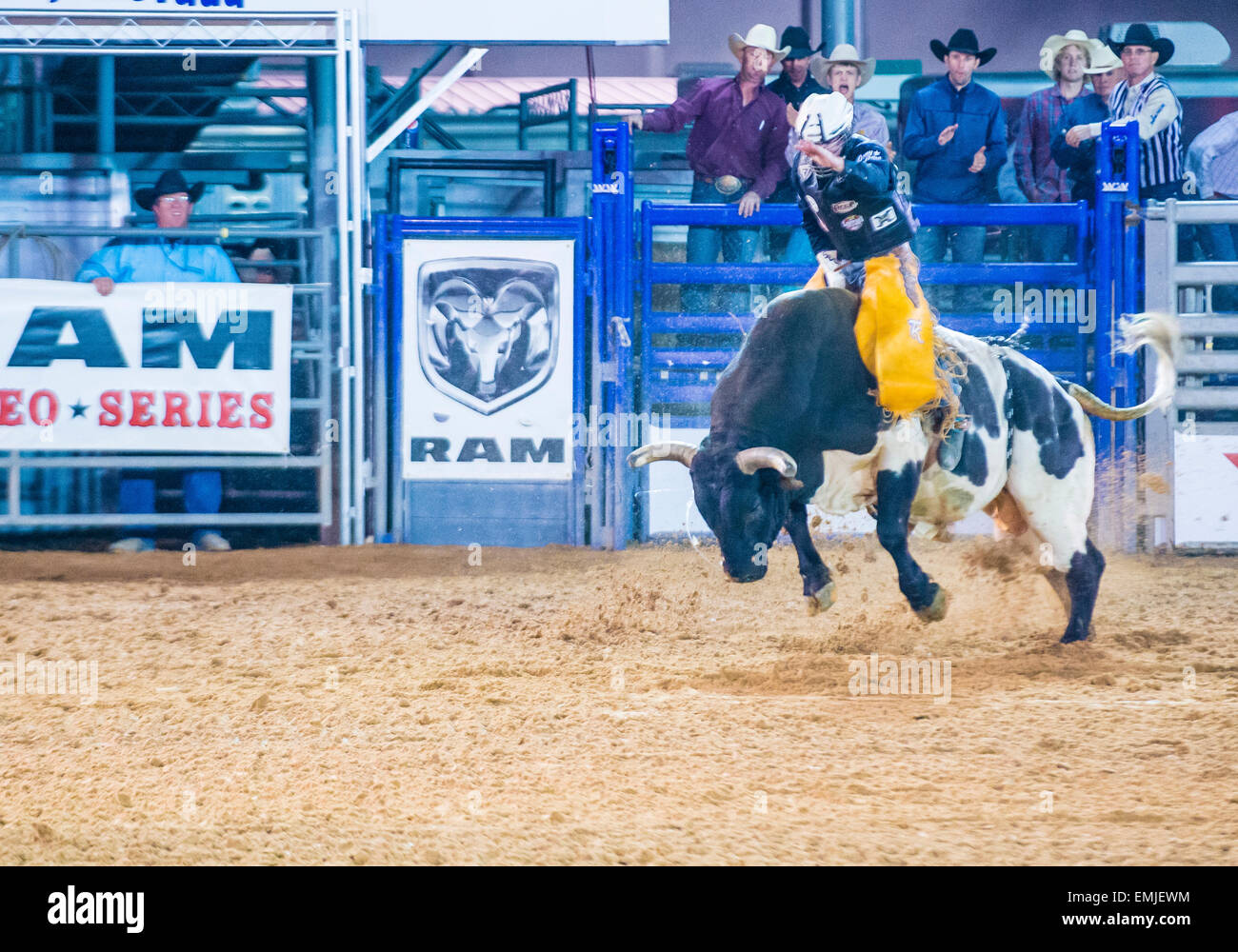 Cowboy Participating in a Bull riding Competition at the Clark County ...