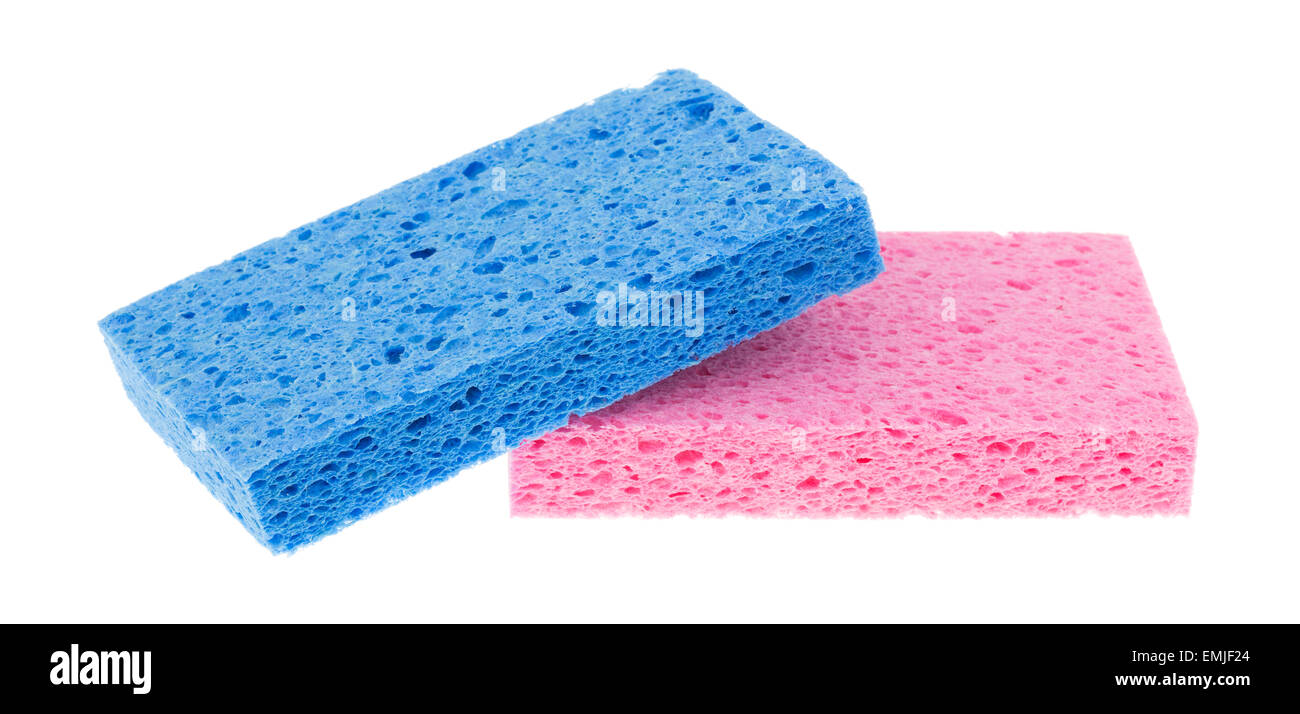 A blue sponge at an angle atop a pink sponge isolated on a white ...