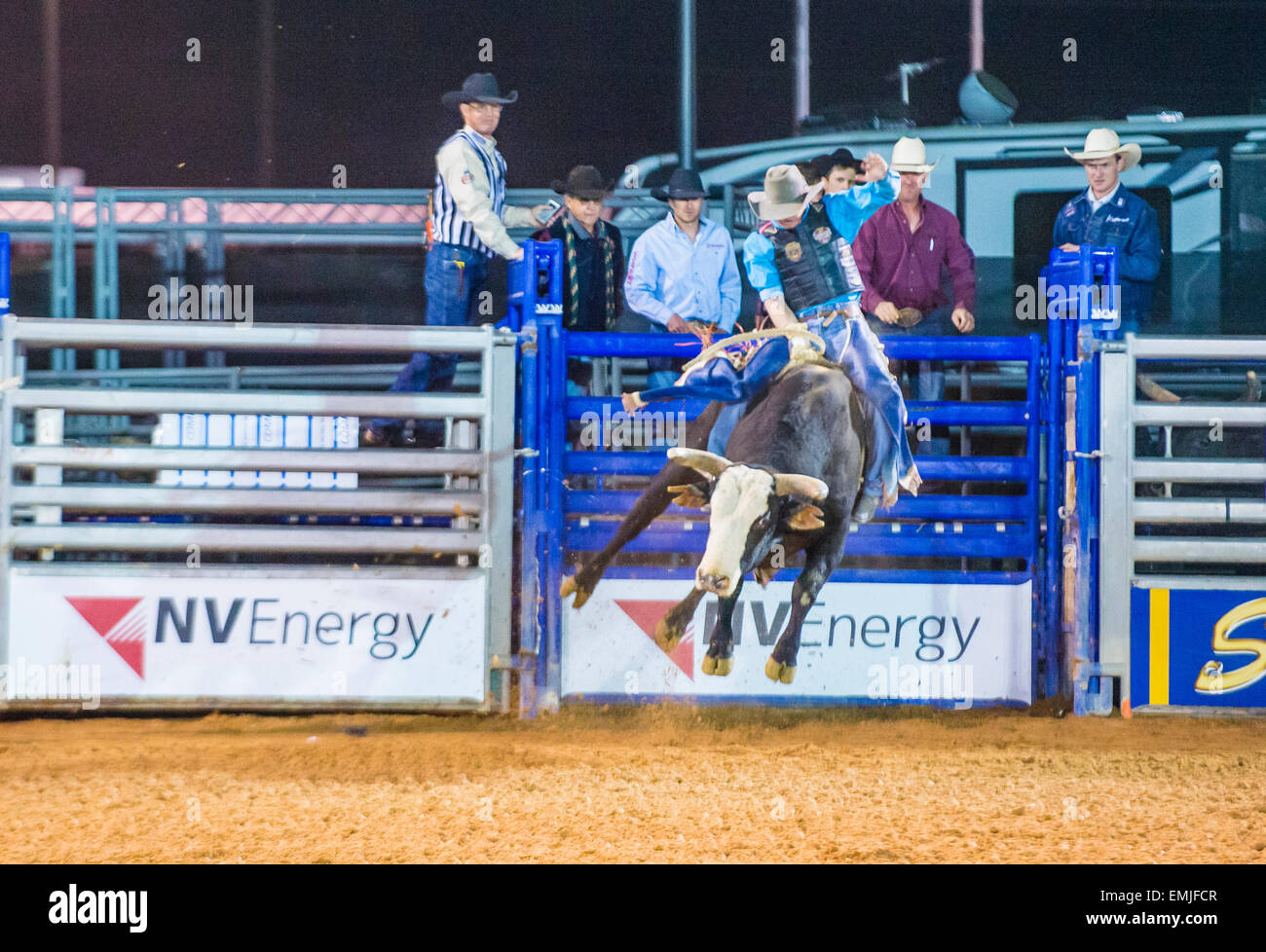Cowboy Participating in a Bull riding Competition at the Clark County ...