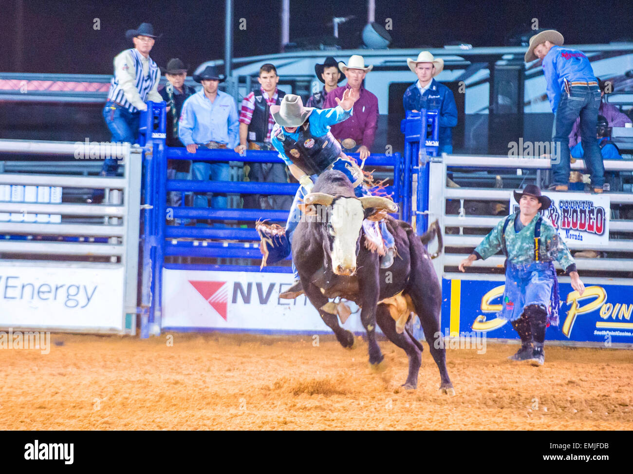 Cowboy Participating in a Bull riding Competition at the Clark County ...