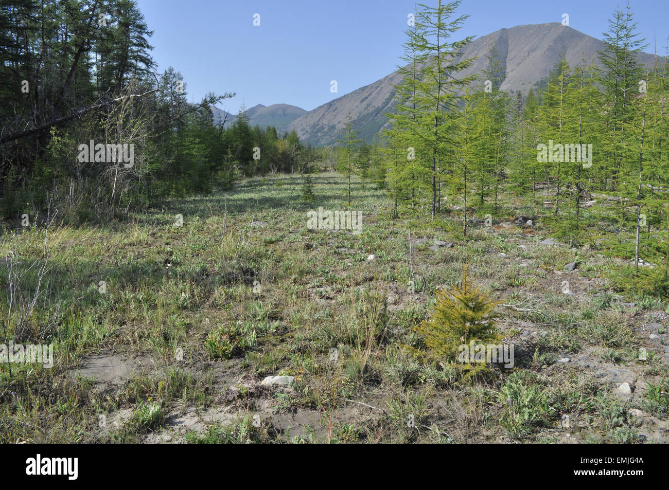 Highlands of russia hi-res stock photography and images - Alamy