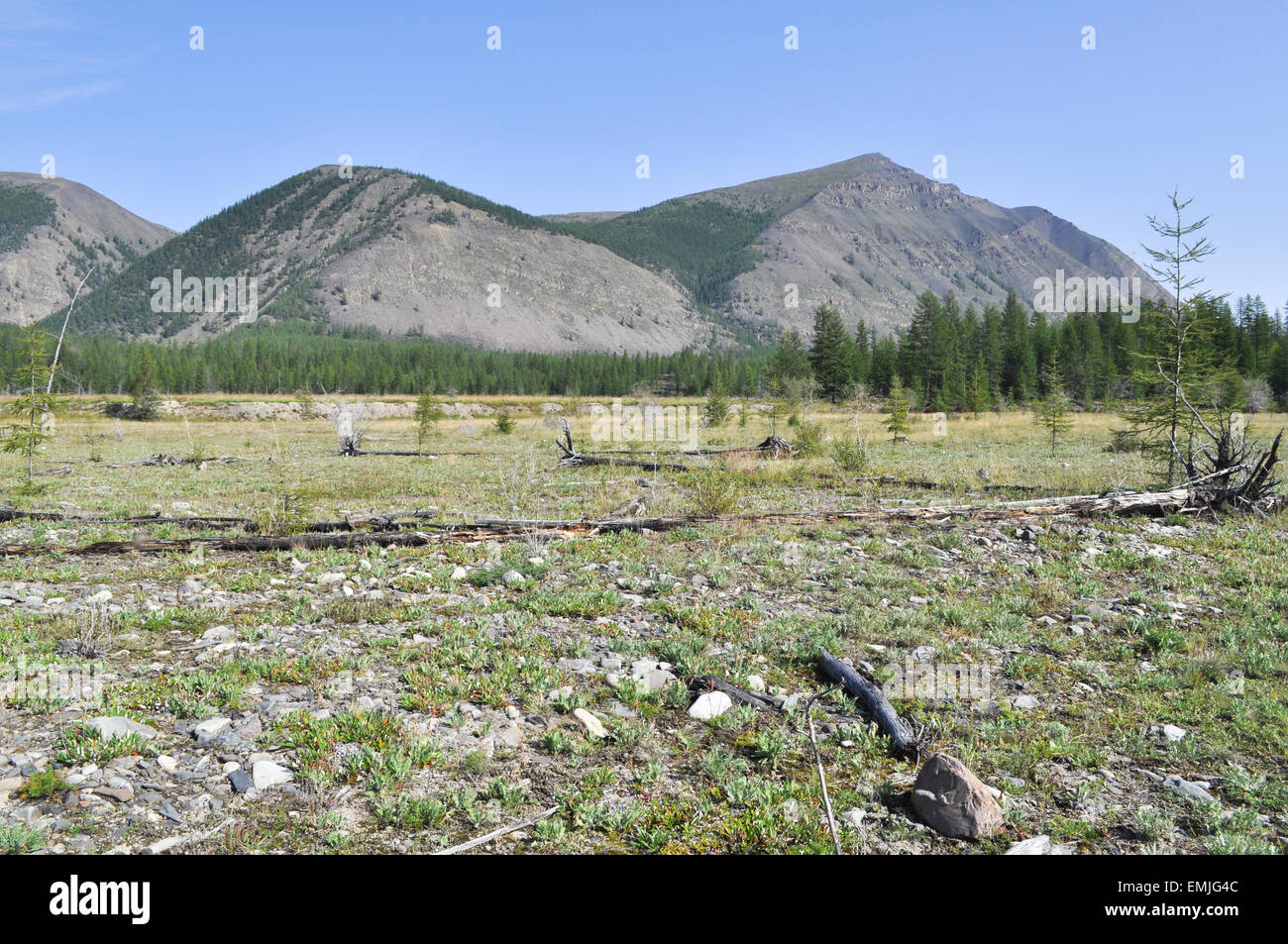 The broad valley between the mountains. Russia, Yakutia, Oymyakon ...