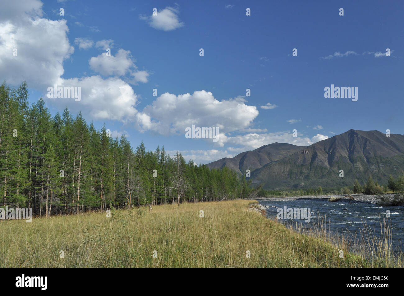 Pebble river bank hi-res stock photography and images - Alamy