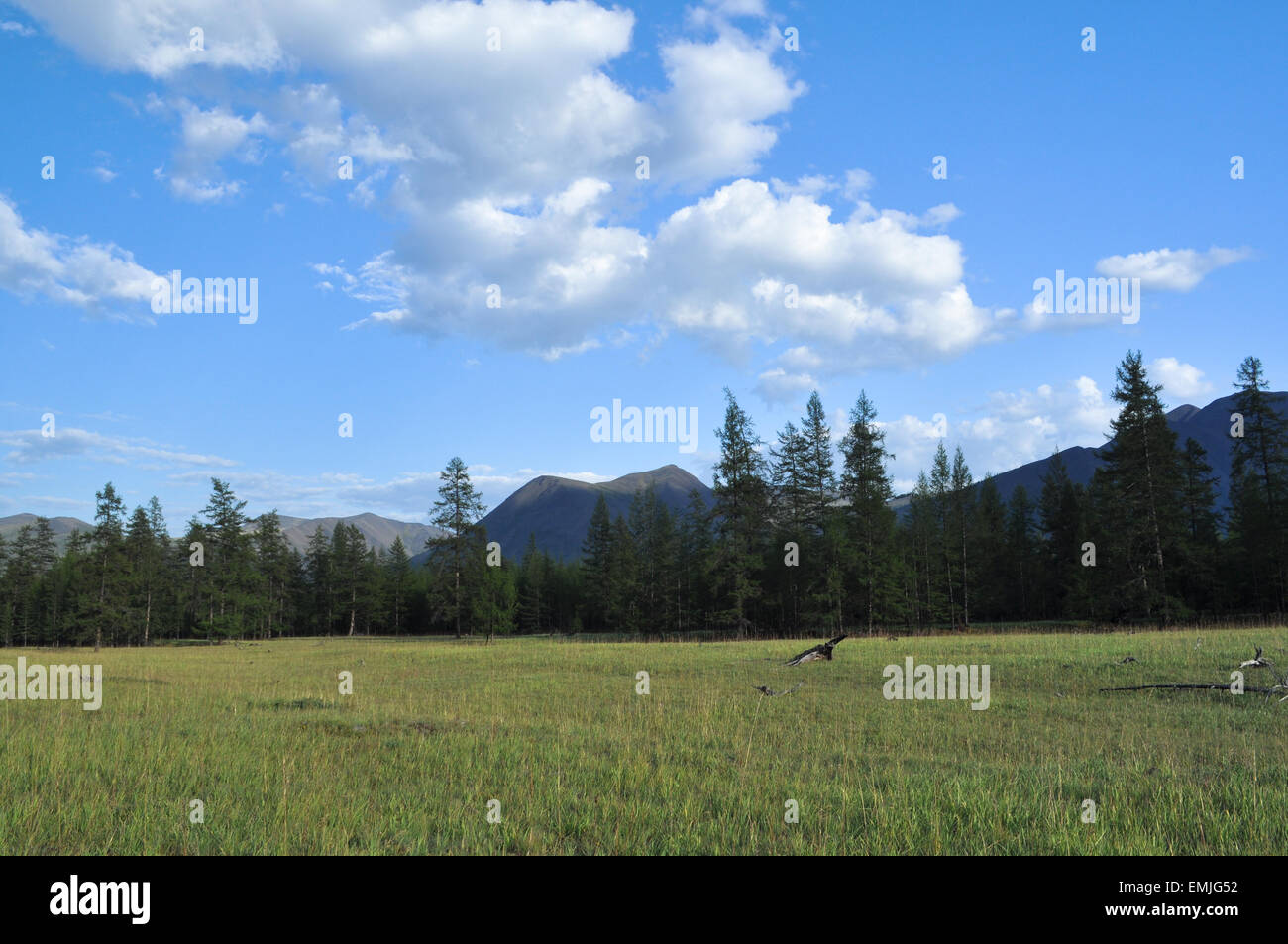 Green meadows in mountain valley of the river Suntar. Russia, Yakutia ...