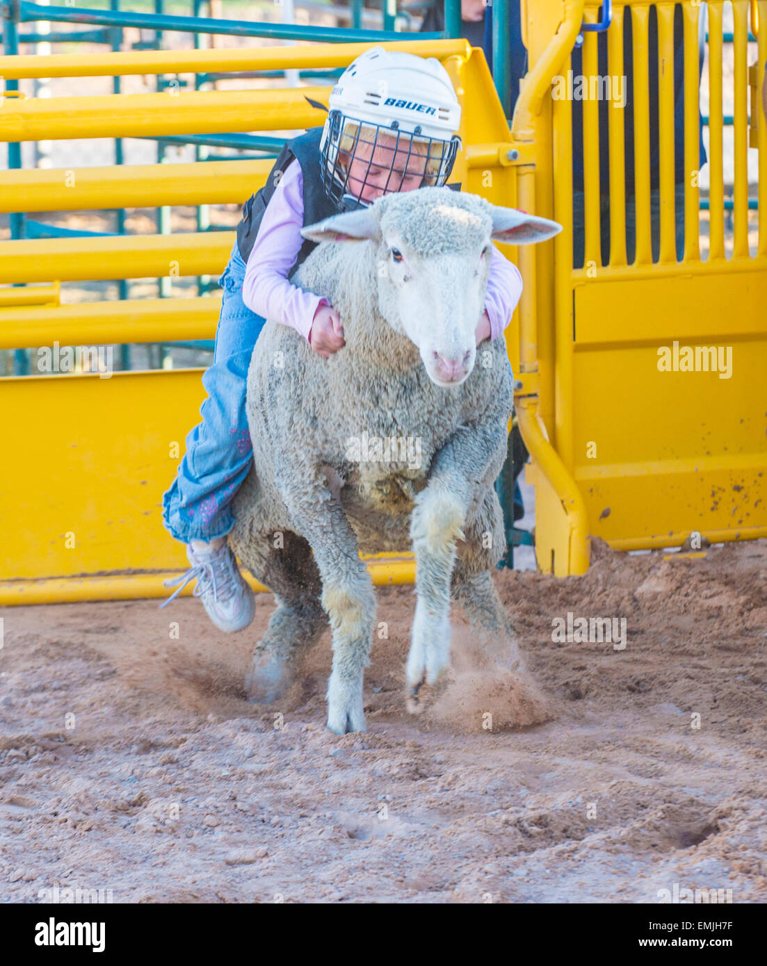 Boy riding on sheep hi-res stock photography and images - Alamy