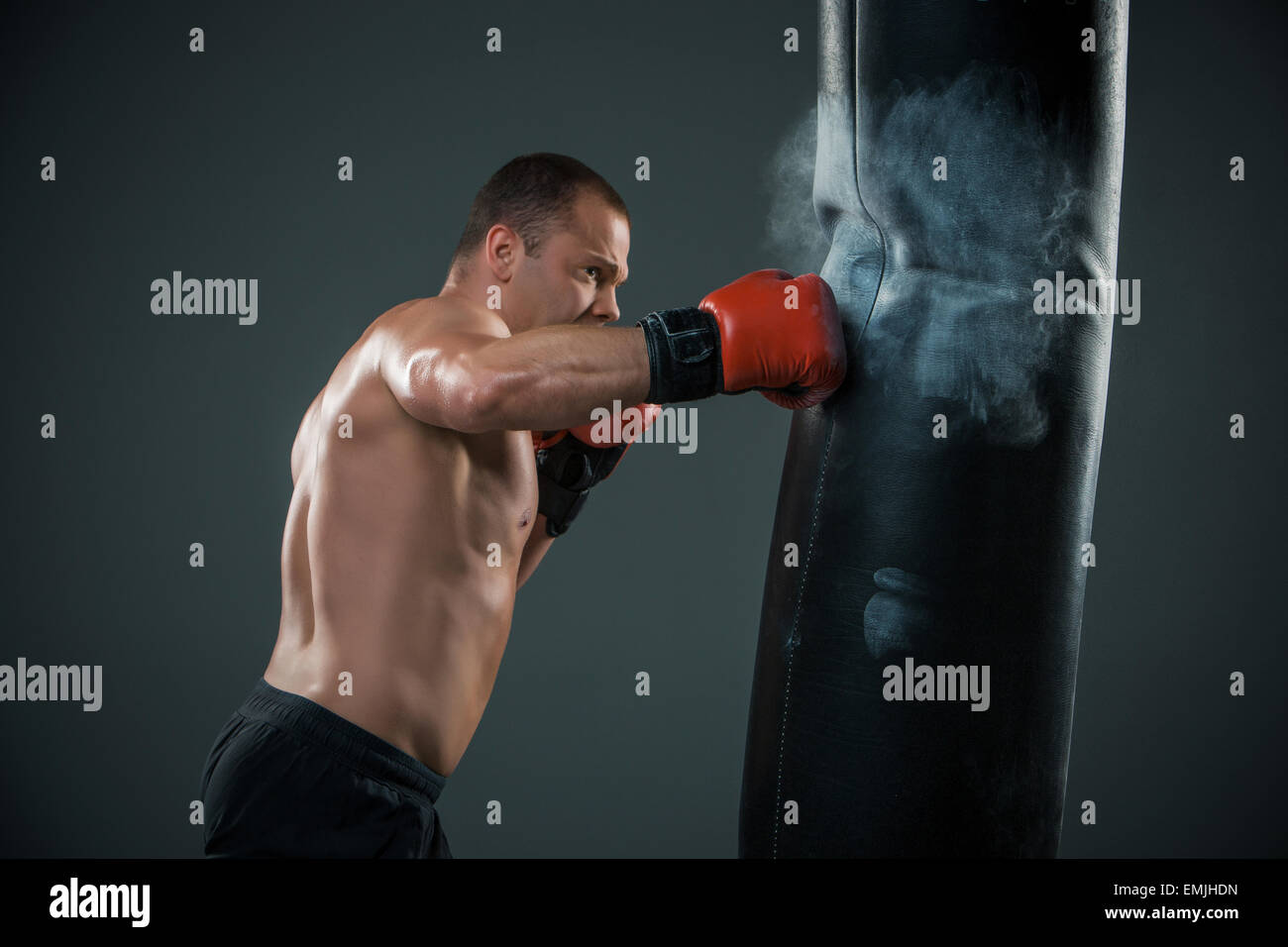 Young Boxer fighter Stock Photo - Alamy