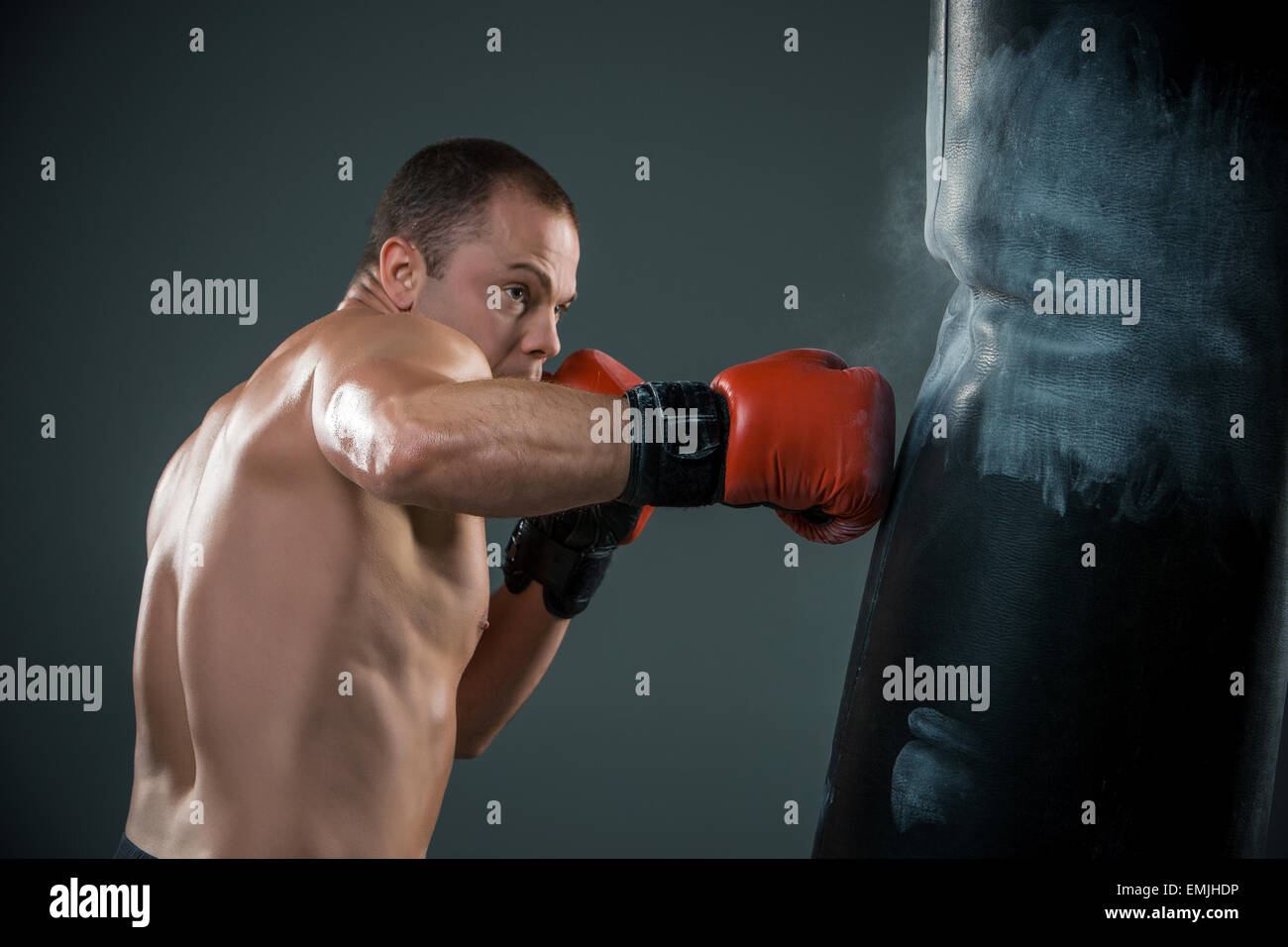 Young Boxer fighter Stock Photo - Alamy