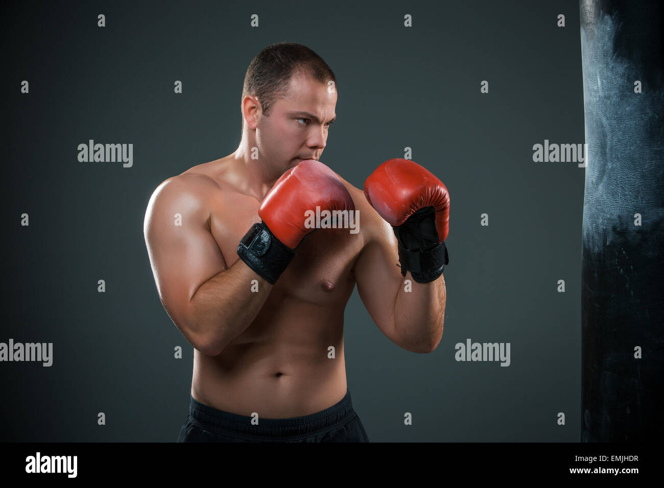 Young Boxer boxing Stock Photo - Alamy
