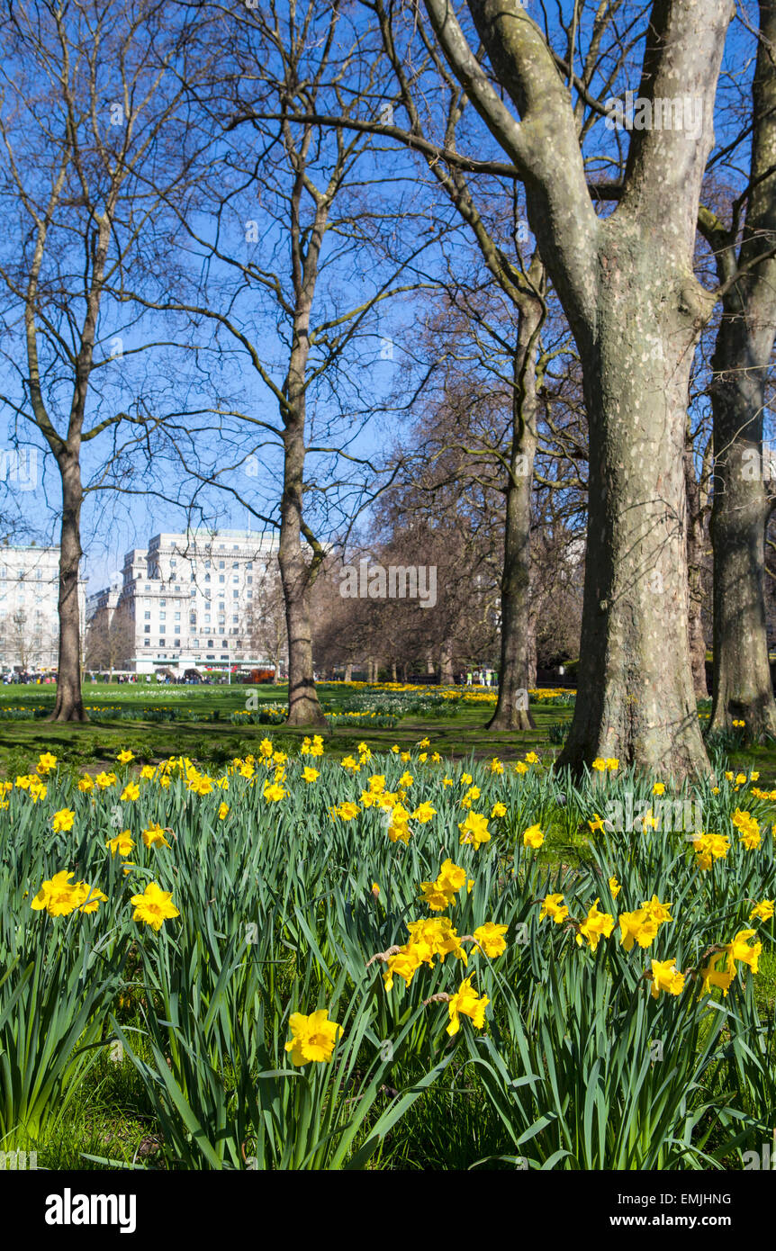 A beautiful view of Green Park in London during Spring Stock Photo - Alamy
