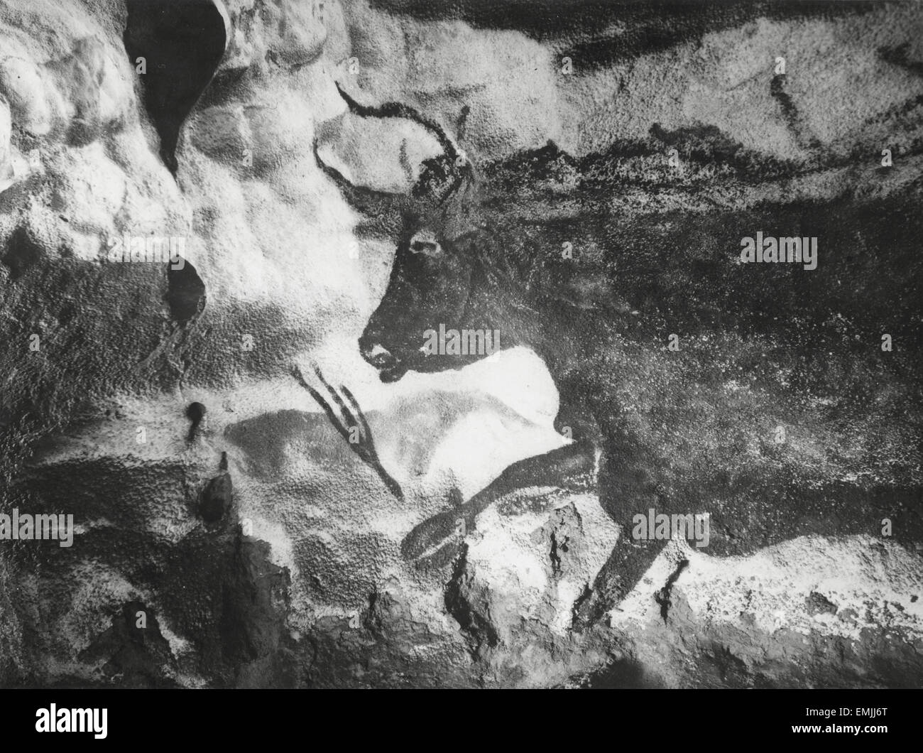 Lascaux cave painting hi-res stock photography and images - Alamy