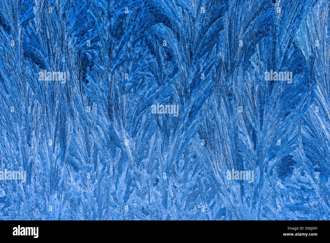 Suffused with light hi-res stock photography and images - Alamy