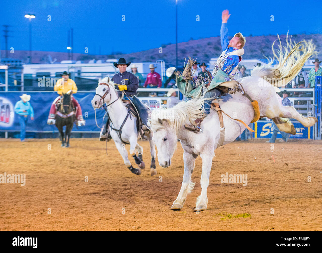 Cowboy Participating in a Bucking Horse Competition at the Clark County ...