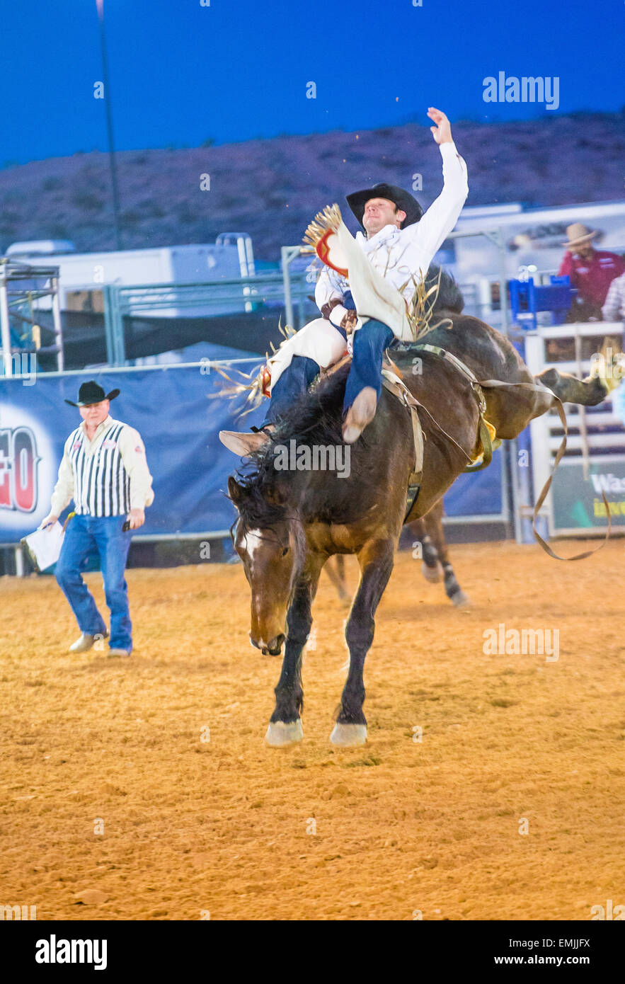 Cowboy Participating in a Bucking Horse Competition at the Clark County ...