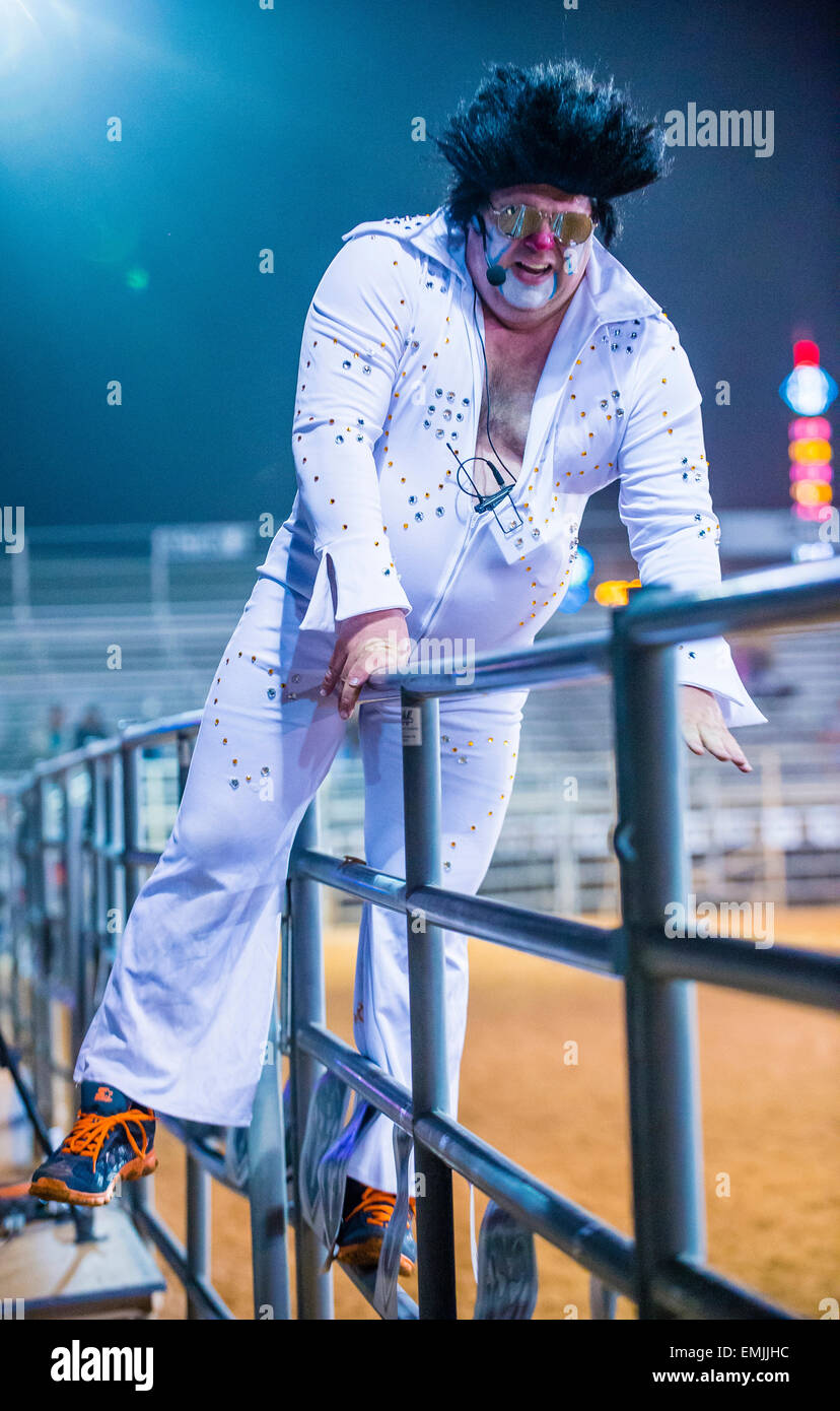 Rodeo Clown performing in the Clark County Fair and Rodeo a ...