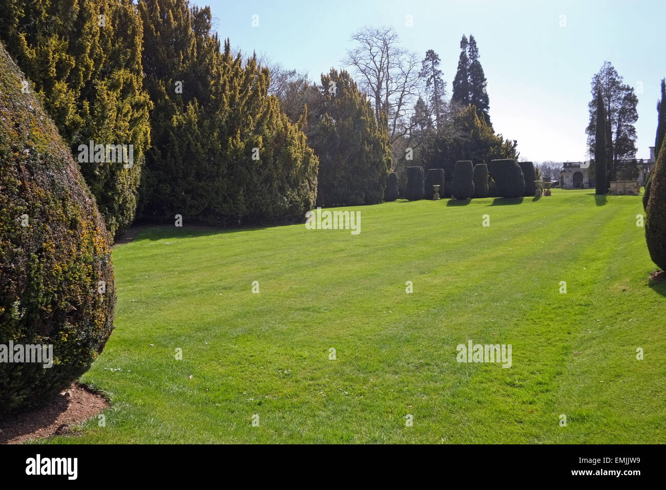 Uk front garden grasses hi-res stock photography and images - Alamy