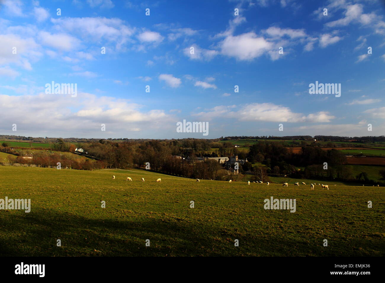 Buckland abbey hi-res stock photography and images - Alamy