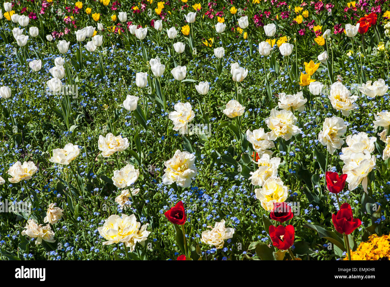 Beautiful display of flowers hi-res stock photography and images - Alamy