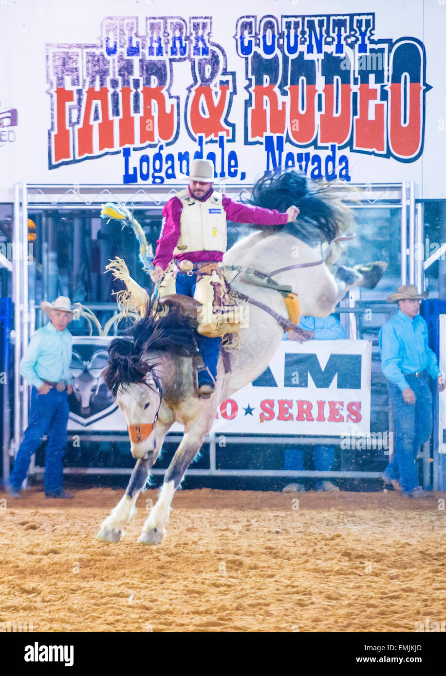 Cowboy Participating in a Bucking Horse Competition at the Clark County ...