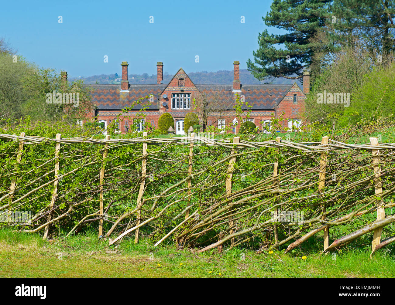 Hedge in Biddulph Grange Country Park, Biddulph, Staffordshire, England ...