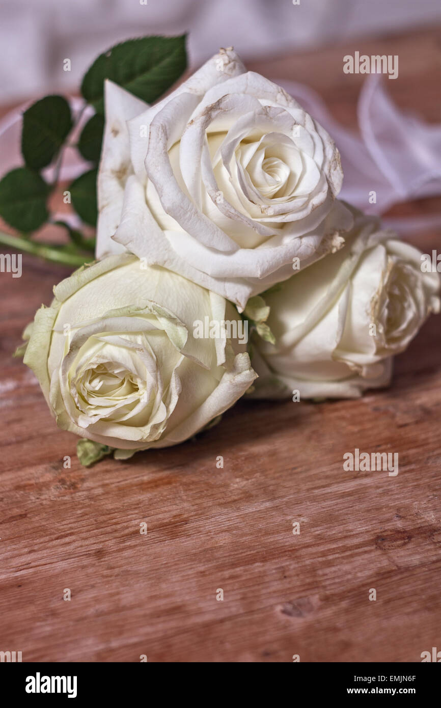 Rotten rose petals hi-res stock photography and images - Alamy