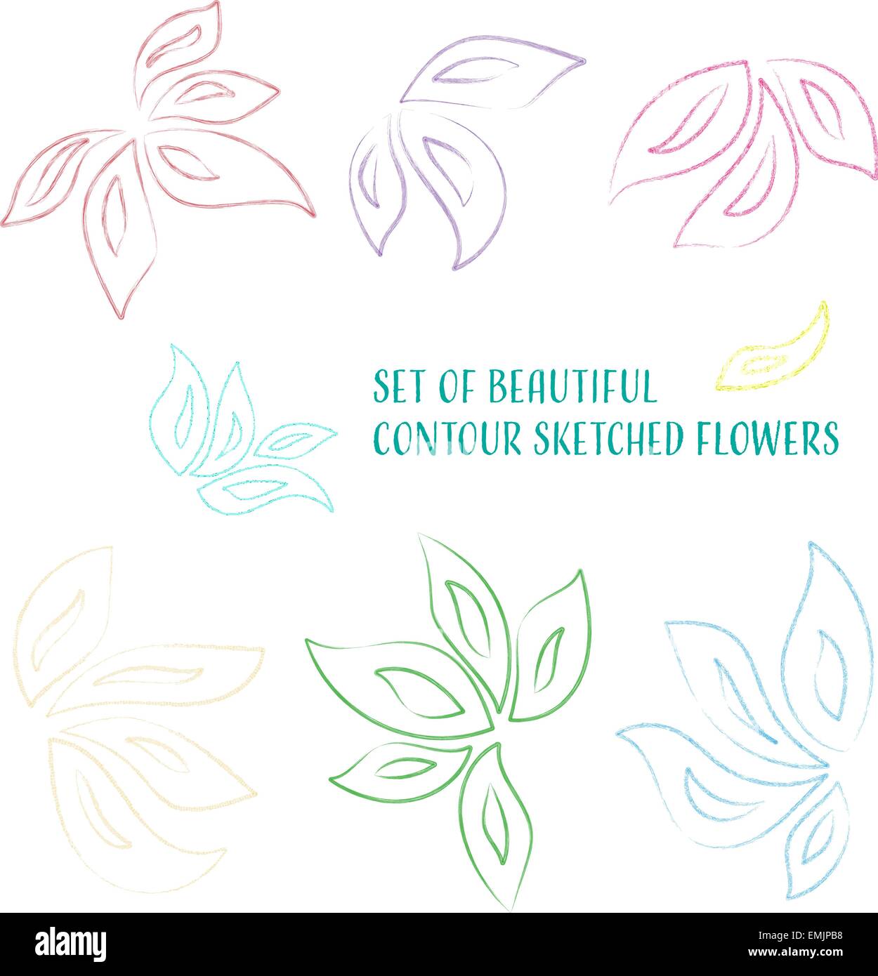 Set of beautiful colored contour sketched orchid flowers Stock Vector ...