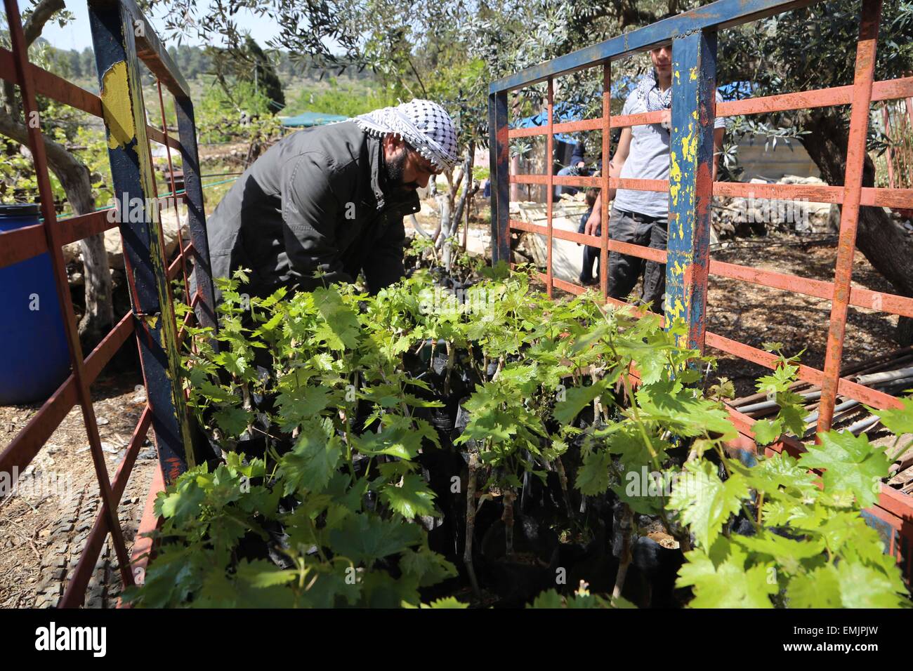 Save Palestine Stock Photos & Save Palestine Stock Images - Alamy