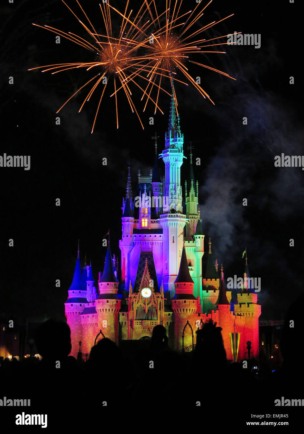 Disney World Castle Wallpaper Fireworks