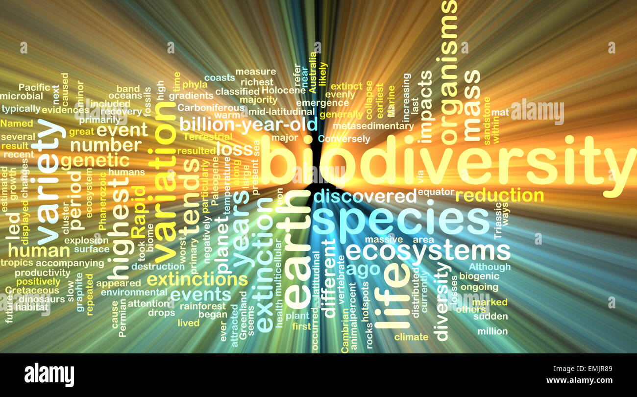 Background text pattern concept wordcloud illustration of biodiversity ...