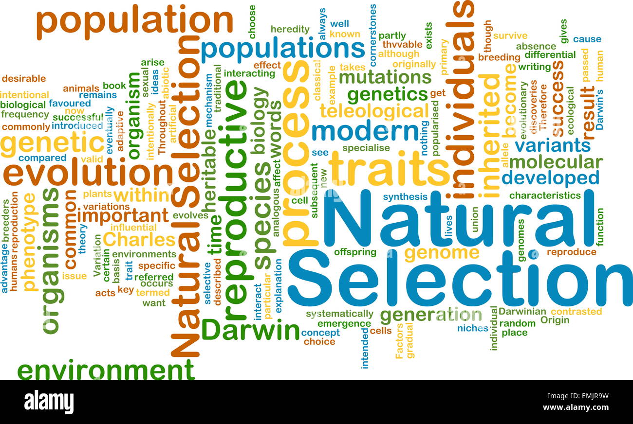 Background text pattern concept wordcloud illustration of natural ...