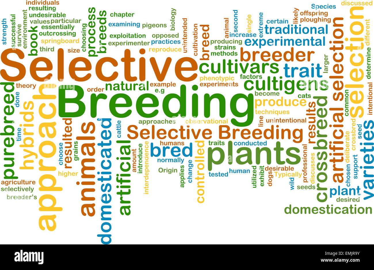 Selective Breeding